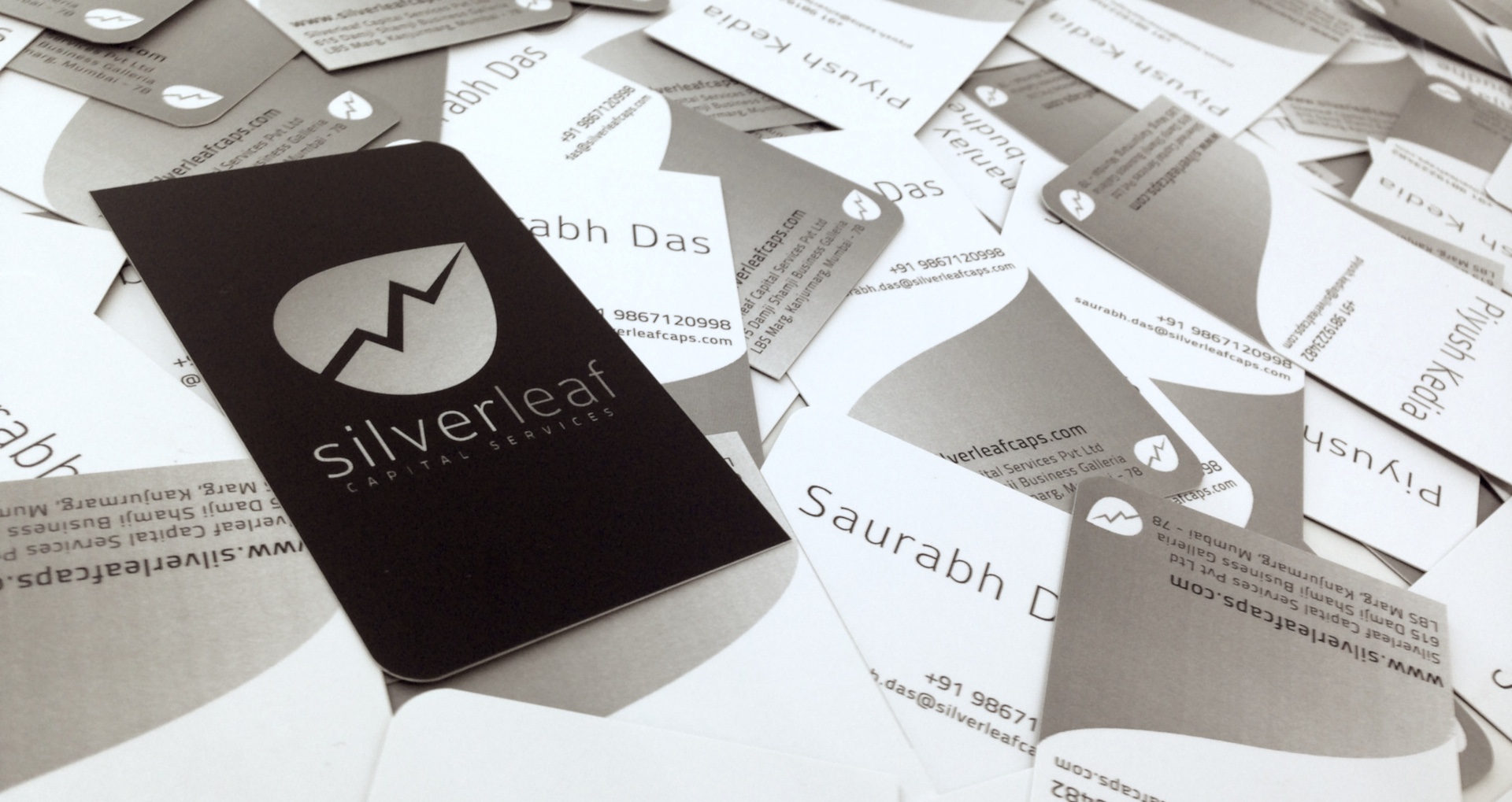 Join Us – Silverleaf Capital